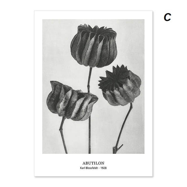 Botanical Black White Vintage Flowers Canvas Prints Wall Art Floral Pi ...