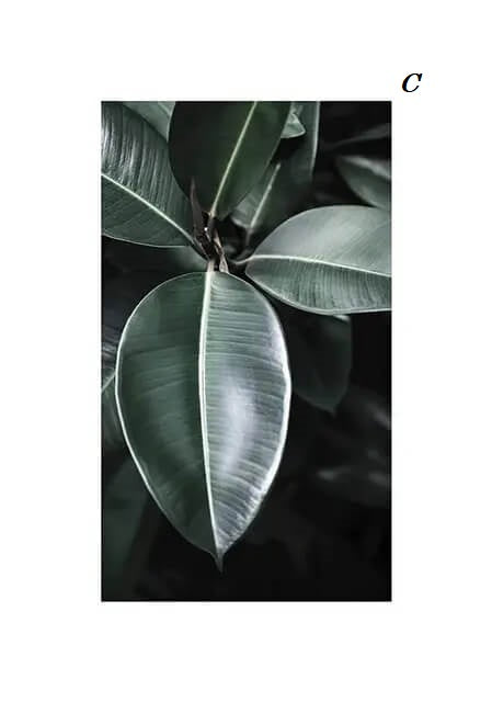 Minimalist Green Tropical Plant Canvas Prints Nordic Modern Botanical ...