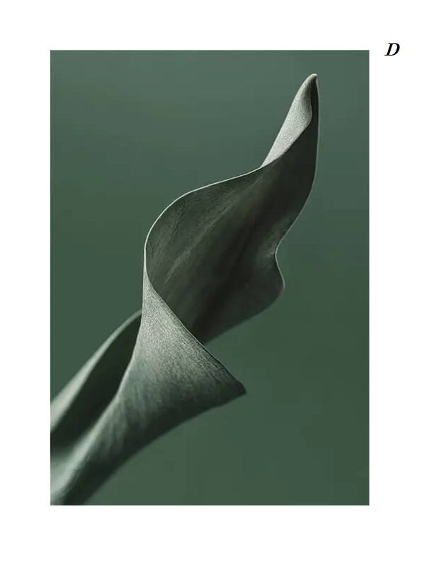 Minimalist Green Tropical Plant Canvas Prints Nordic Modern Botanical ...