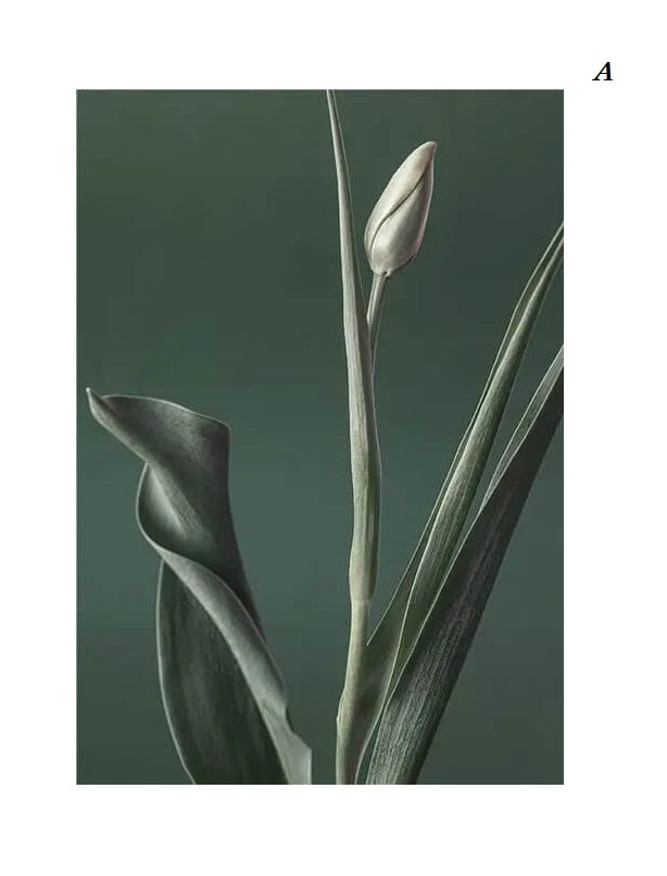 Minimalist Green Tropical Plant Canvas Prints Nordic Modern Botanical ...