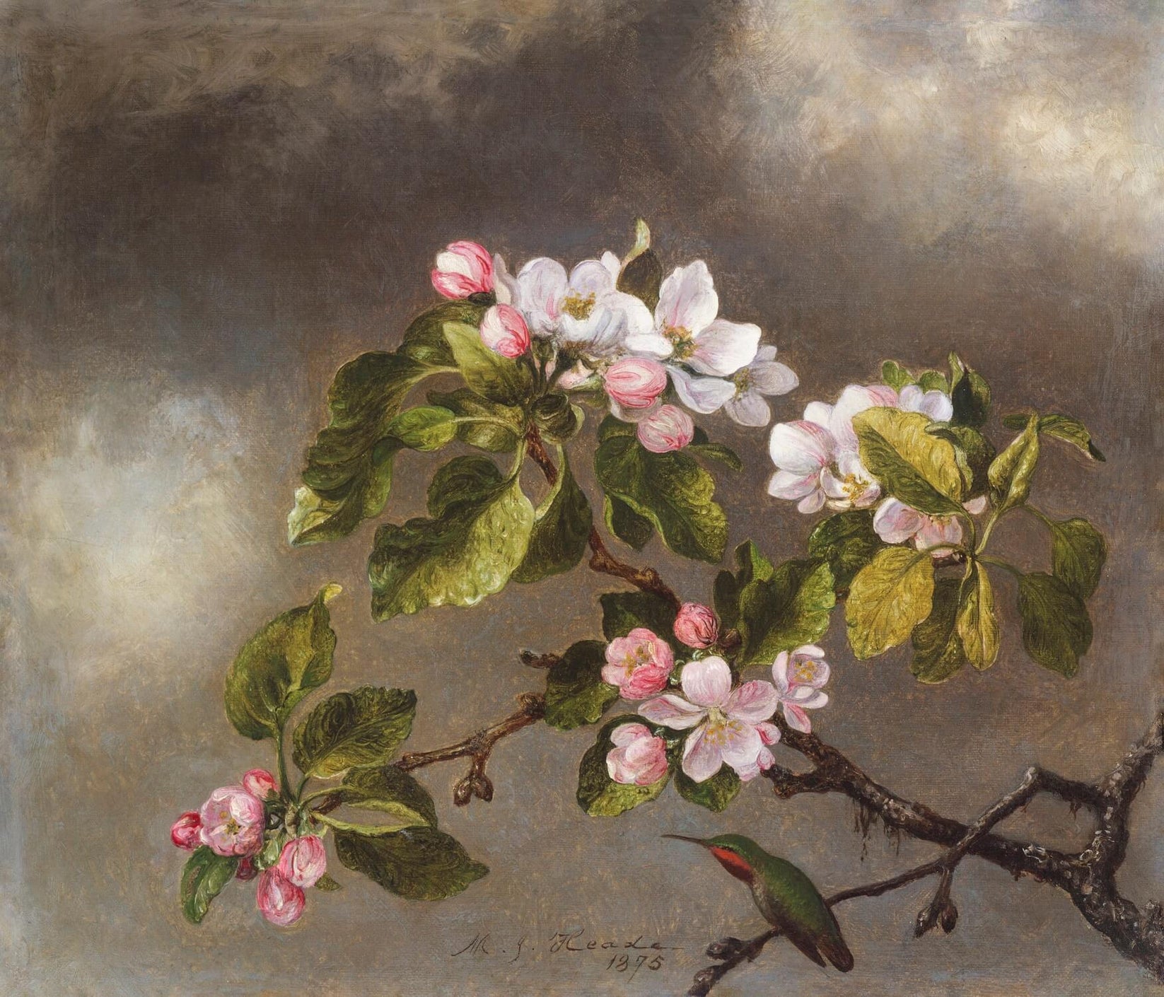 Buy Apple Blossom Dark Mural Wallpaper at 20% off – DIVEROS